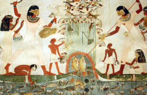 Nile River facts, location, source, map, animals, and ancient history.
